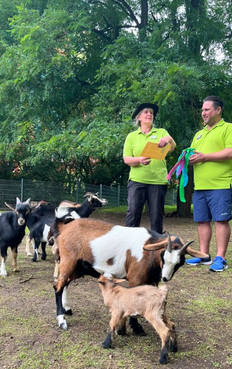 Freizeitprogramm am Lübbesee